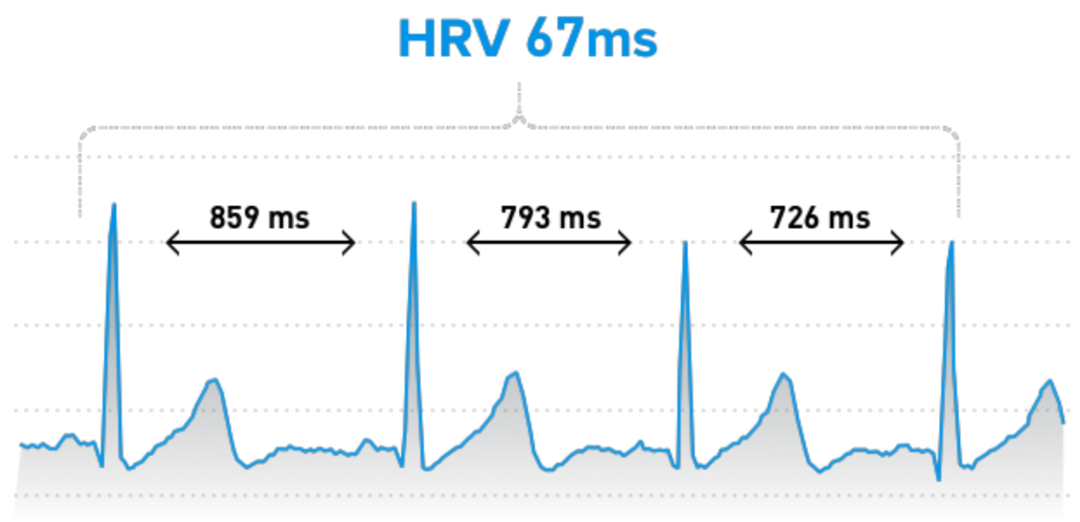 Het Hart - Leefstijlpraktijk